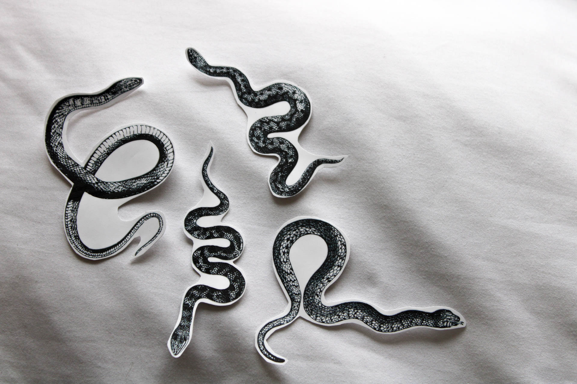 Snake Vinyl Stickers Unique and Eye-catching Reputation Inspired Snake ...