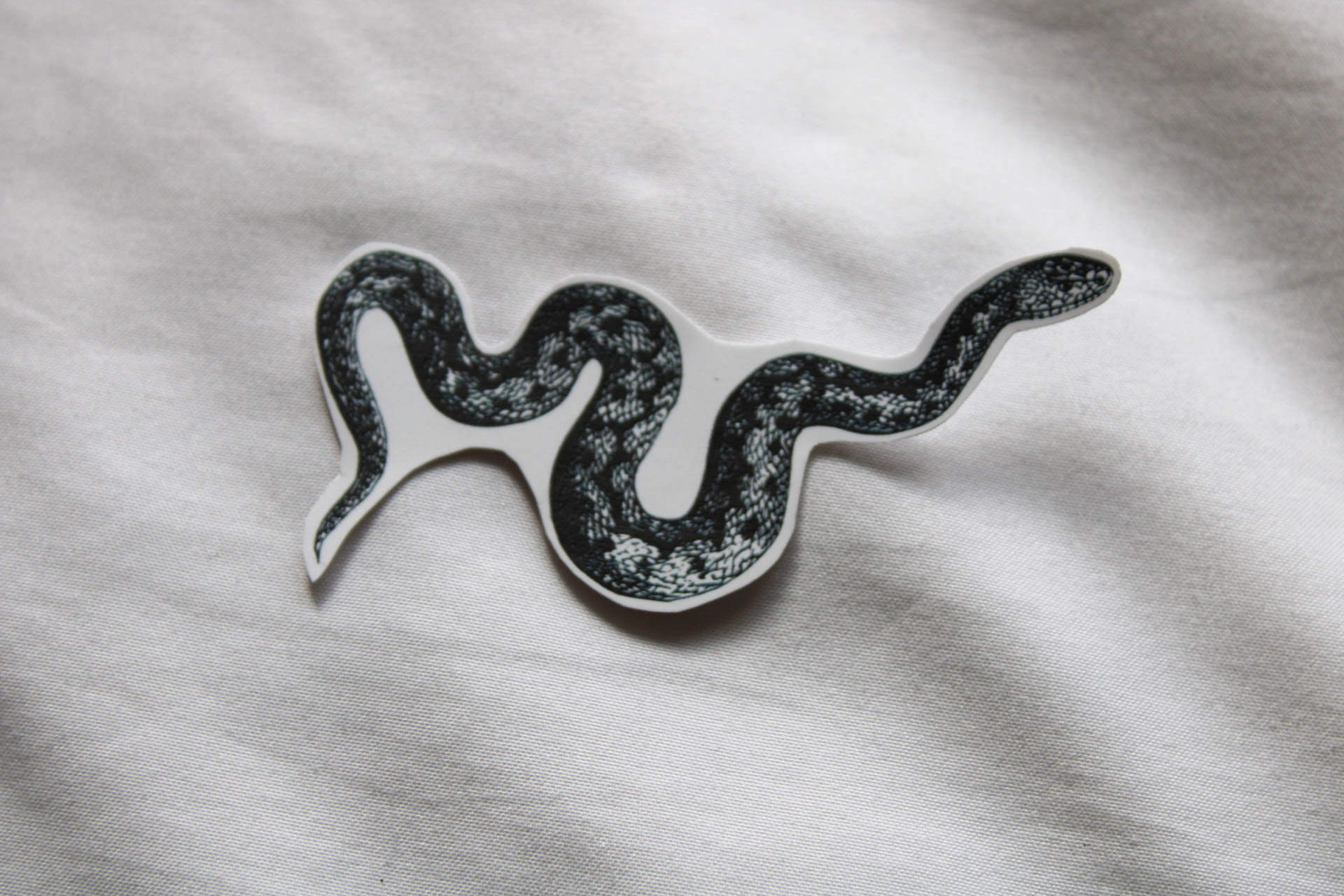 Snake Vinyl Stickers - Unique and Eye-catching Reputation Inspired ...
