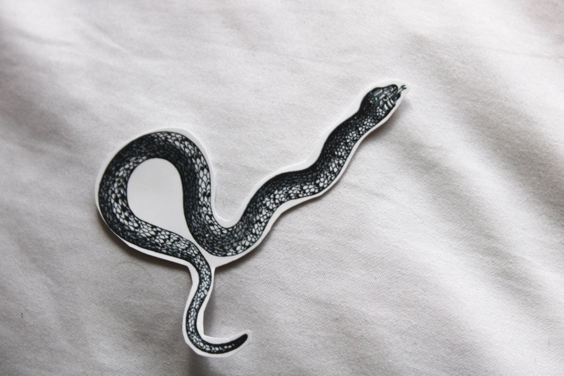 Snake Vinyl Stickers - Unique and Eye-catching Reputation Inspired ...