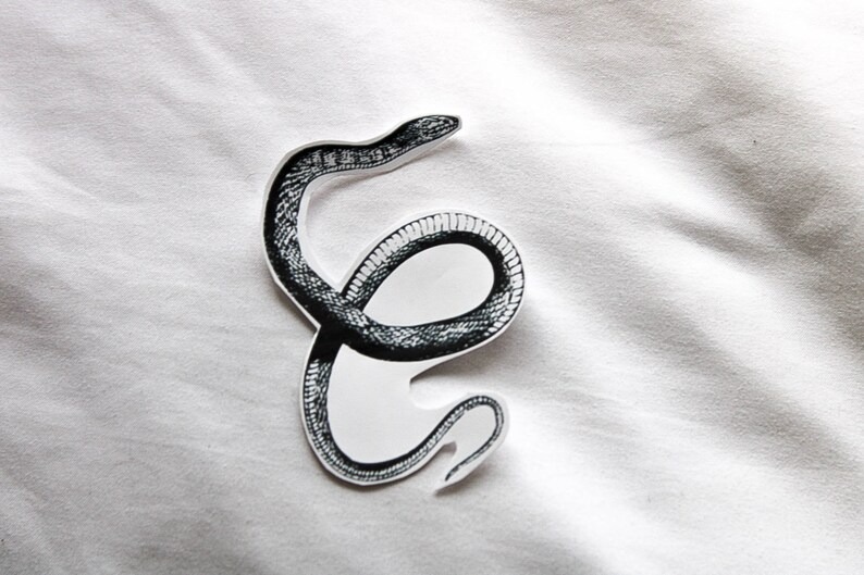 Snake Vinyl Stickers - Unique and Eye-catching Reputation Inspired ...