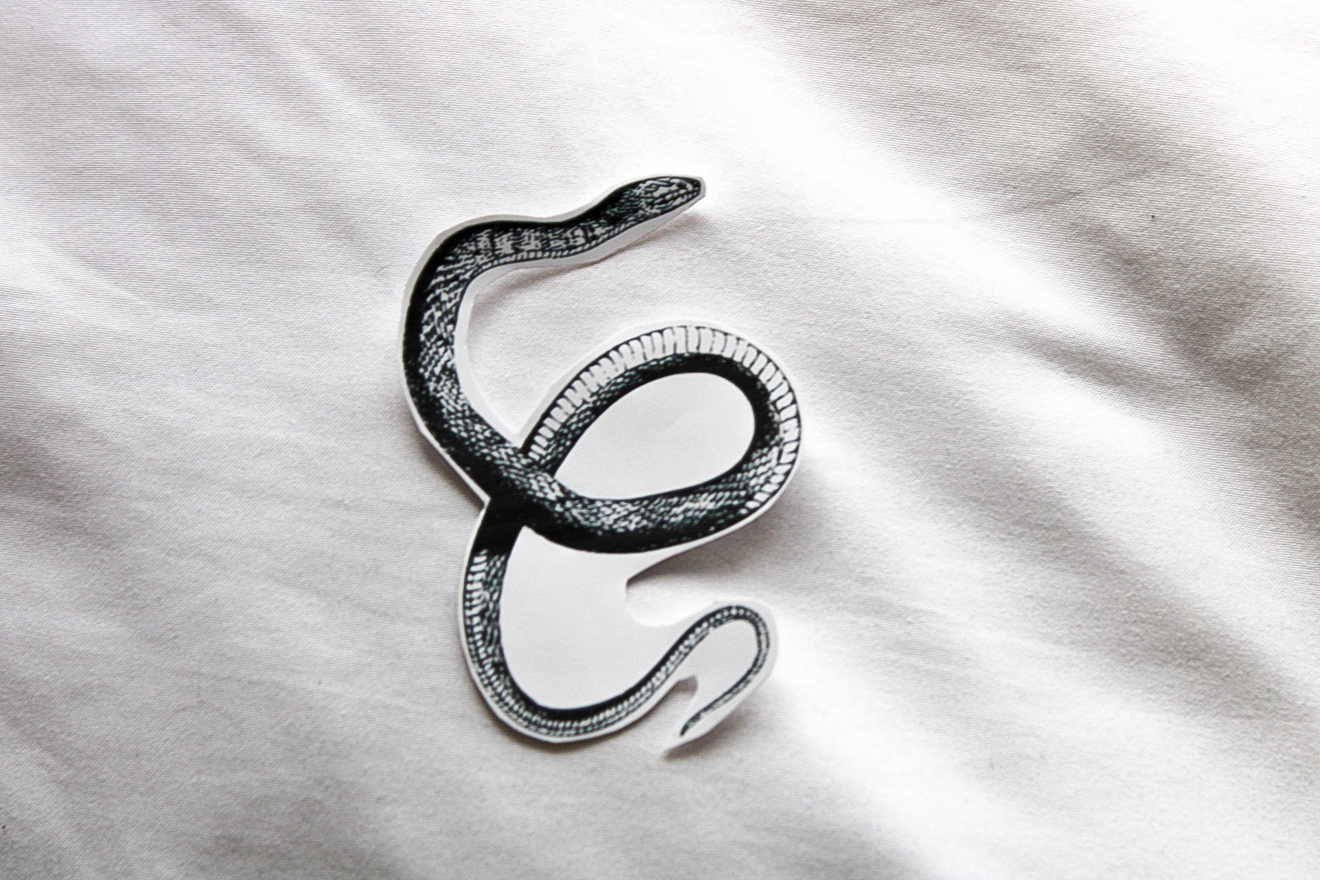 Snake Vinyl Stickers - Unique and Eye-catching Reputation Inspired ...