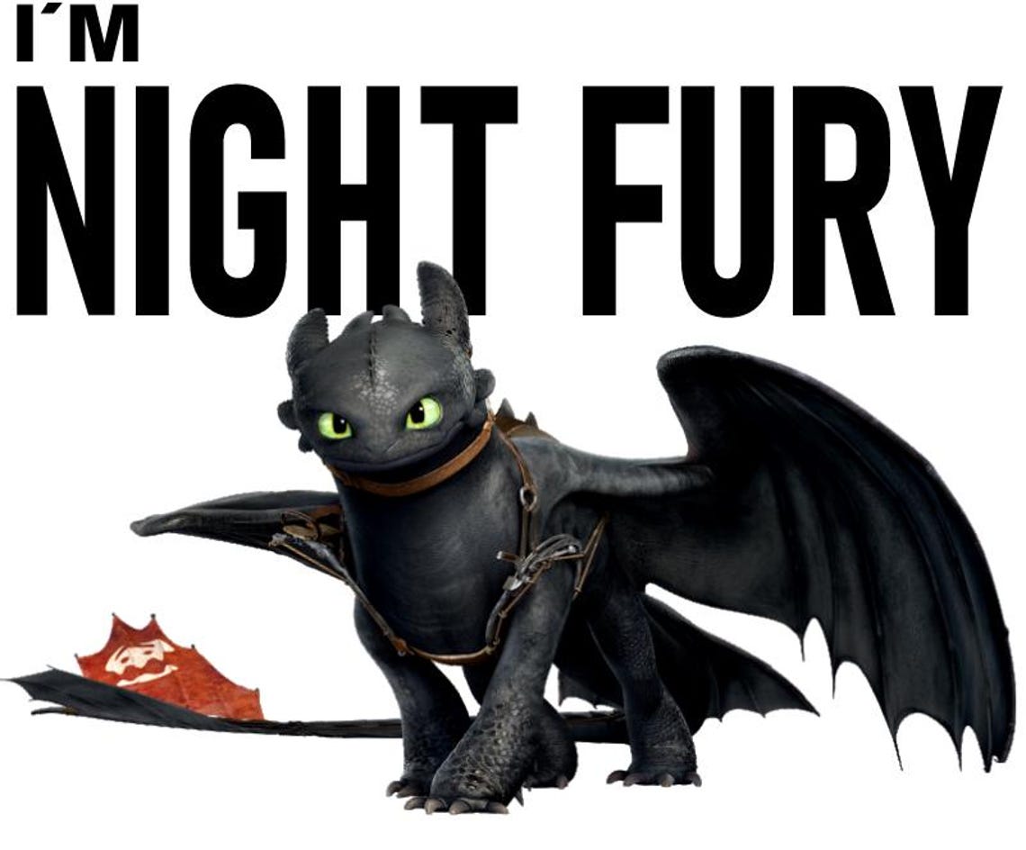 CDR, PNG, PDF | Toothless Digital Design for DTF | Kids' T-shirt ...