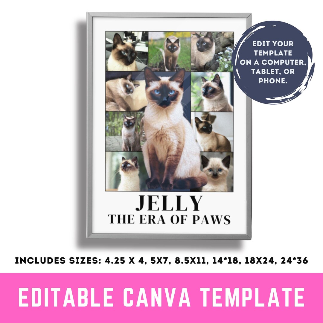Personalized Eras Poster, Eras Poster With Pet Photos, Personalize Eras ...