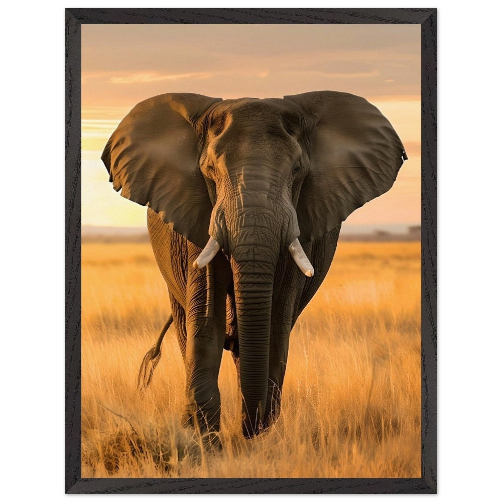 Elephant Framed Wall Art Elephant in Africa Sunsetting Framed Picture ...