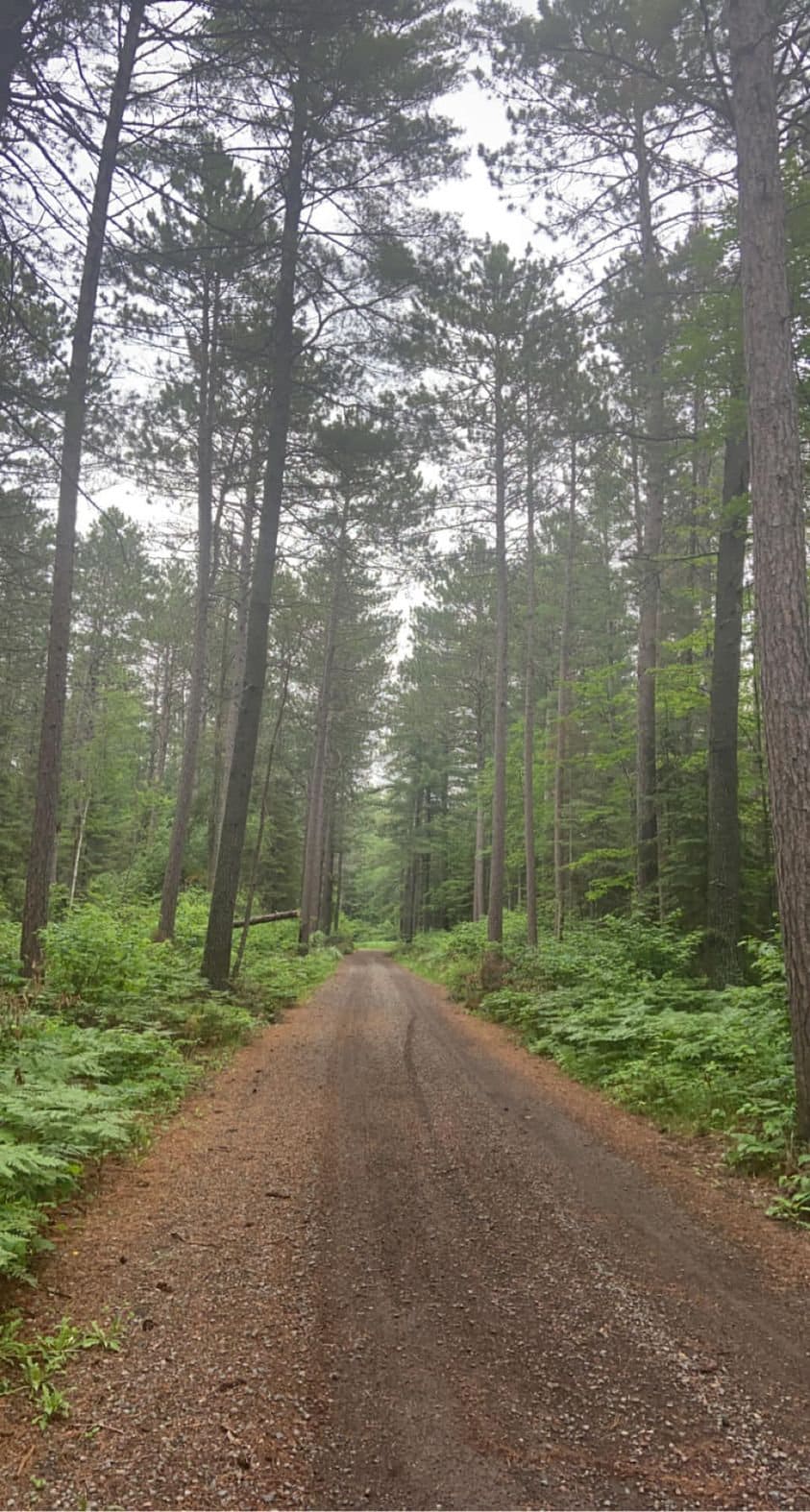 North-central MN ADV Trail GPX File - Etsy