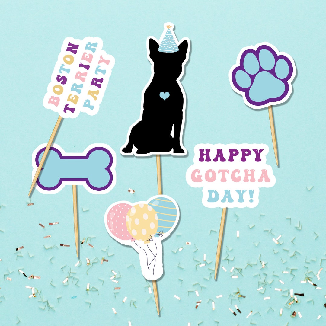 Boston Terrier Dog Blue Happy Gotcha Day Cupcake Toppers for You to ...