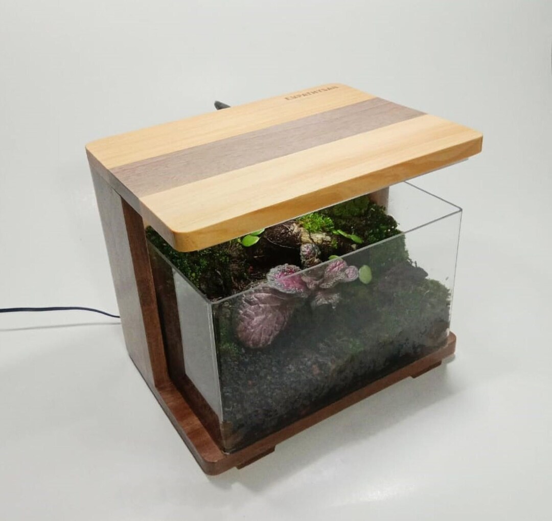 Aesthetic Aquarium Nano Aquarium REAR Model Tank Size Wxlxh ...