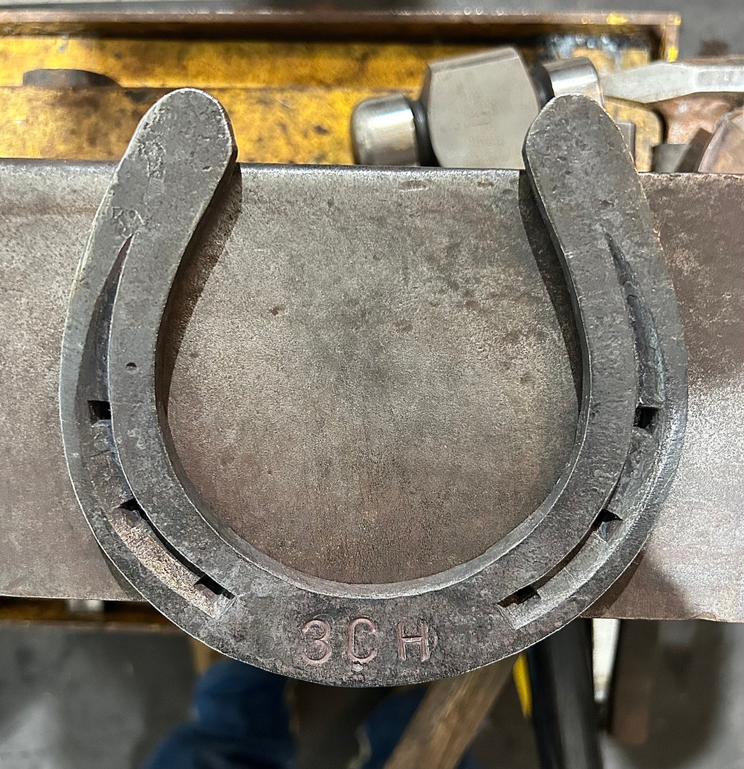 Decorative Hand Forged Horseshoes - Etsy