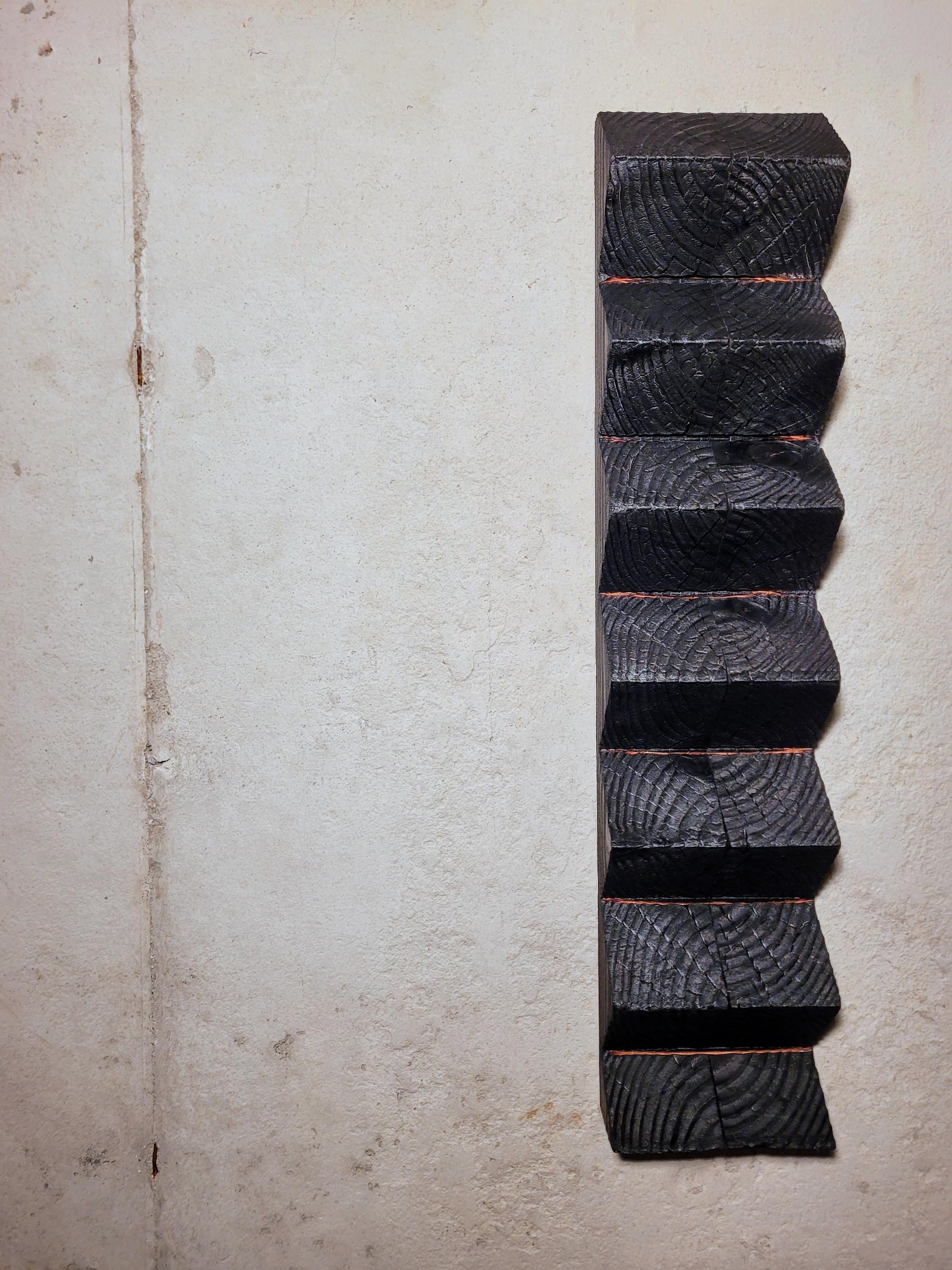 Shou Sugi Ban Modern Wood Wall Art // Yakisugi Charred Wood // Living ...
