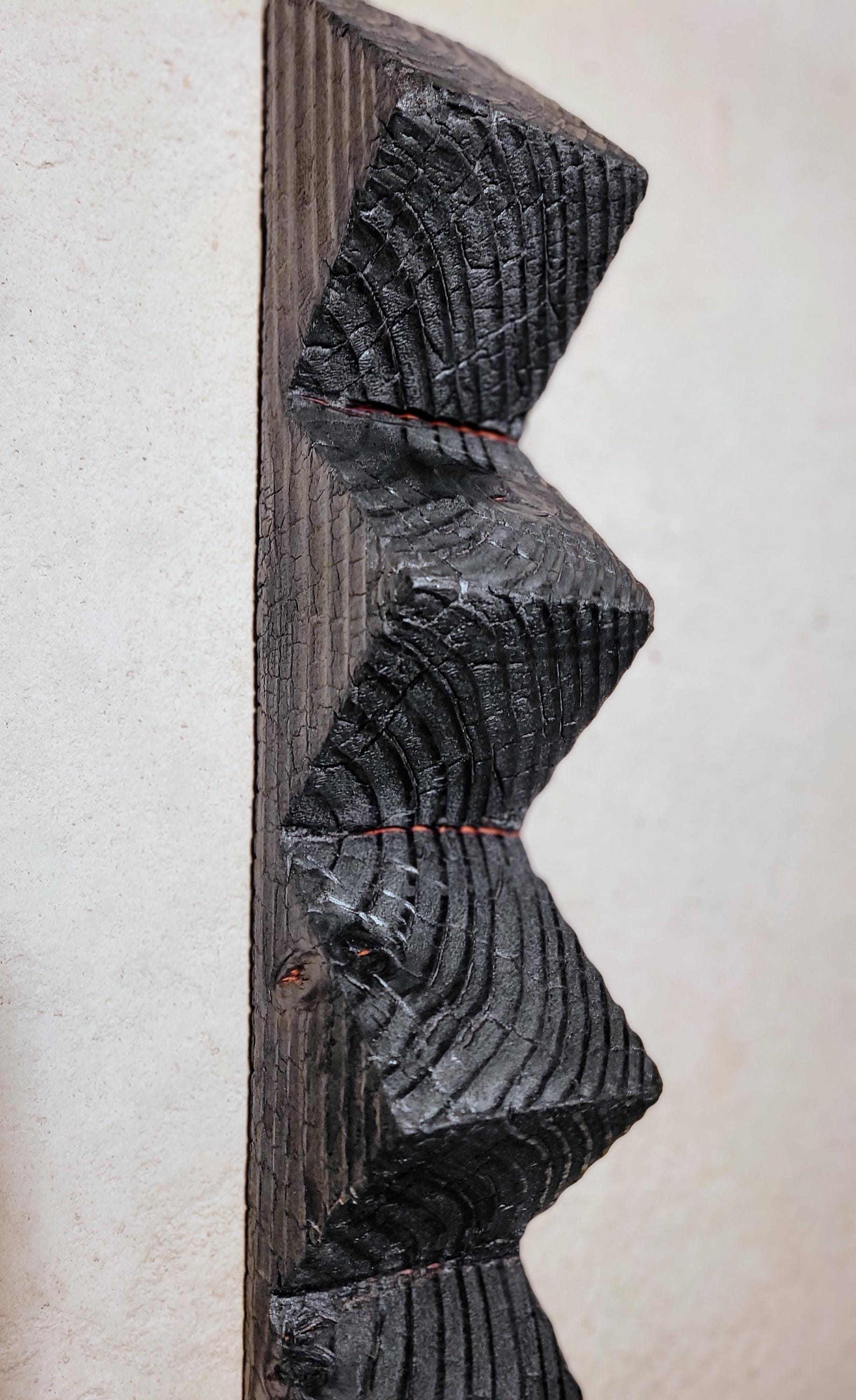 Shou Sugi Ban Modern Wood Wall Art // Yakisugi Charred Wood // Living ...