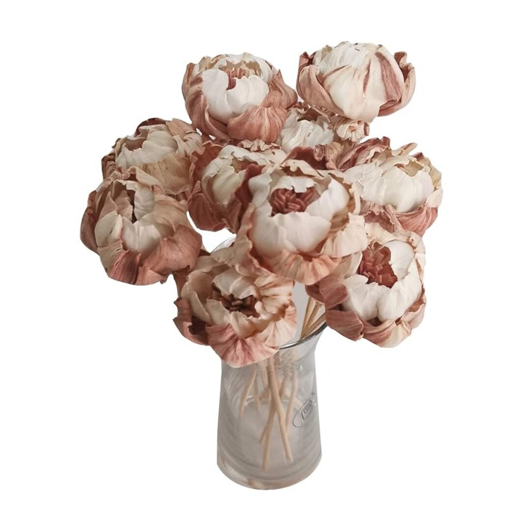 10 Rare Natural Pink Peony 1.5 Sola Flower Reed Diffuser for Home ...