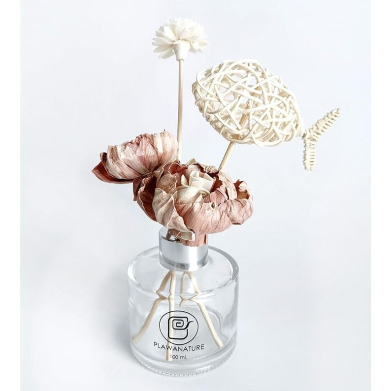 10 Rare Natural Pink Peony 1.5 Sola Flower Reed Diffuser for Home ...
