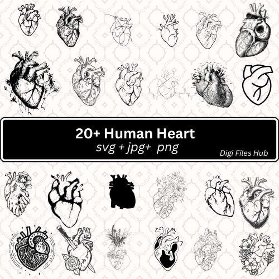 Anatomical Heart Svg, Heart Svg, Human Heart Clip Art Decal, Nurse Life ...