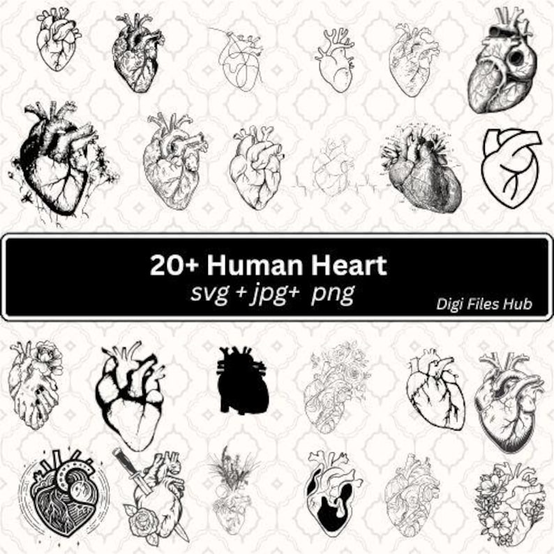 Anatomical Heart Svg, Heart Svg, Human Heart Clip Art Decal, Nurse Life ...