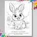 Kawaii Animals Coloring Book | 50 Cute Kawaii-style Animal Coloring ...