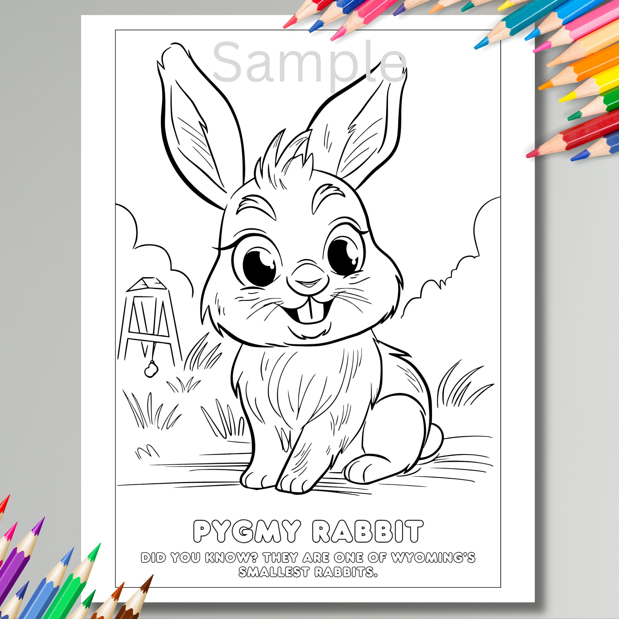 Kawaii Animals Coloring Book 50 Cute Kawaii-style Animal Coloring Pages ...