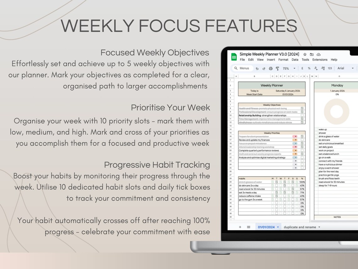 Daily and Weekly Planner Spreadsheet, Executive Dysfunction to Do List ...