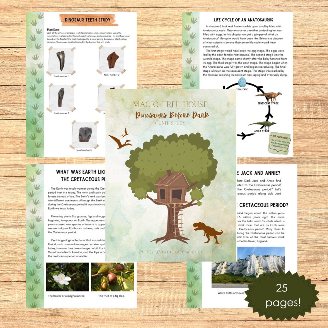 Magic Tree House: Dinosaurs Before Dark Unit Study - Primary Grades - Etsy