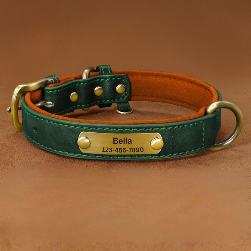 Green Leather Collar - Etsy