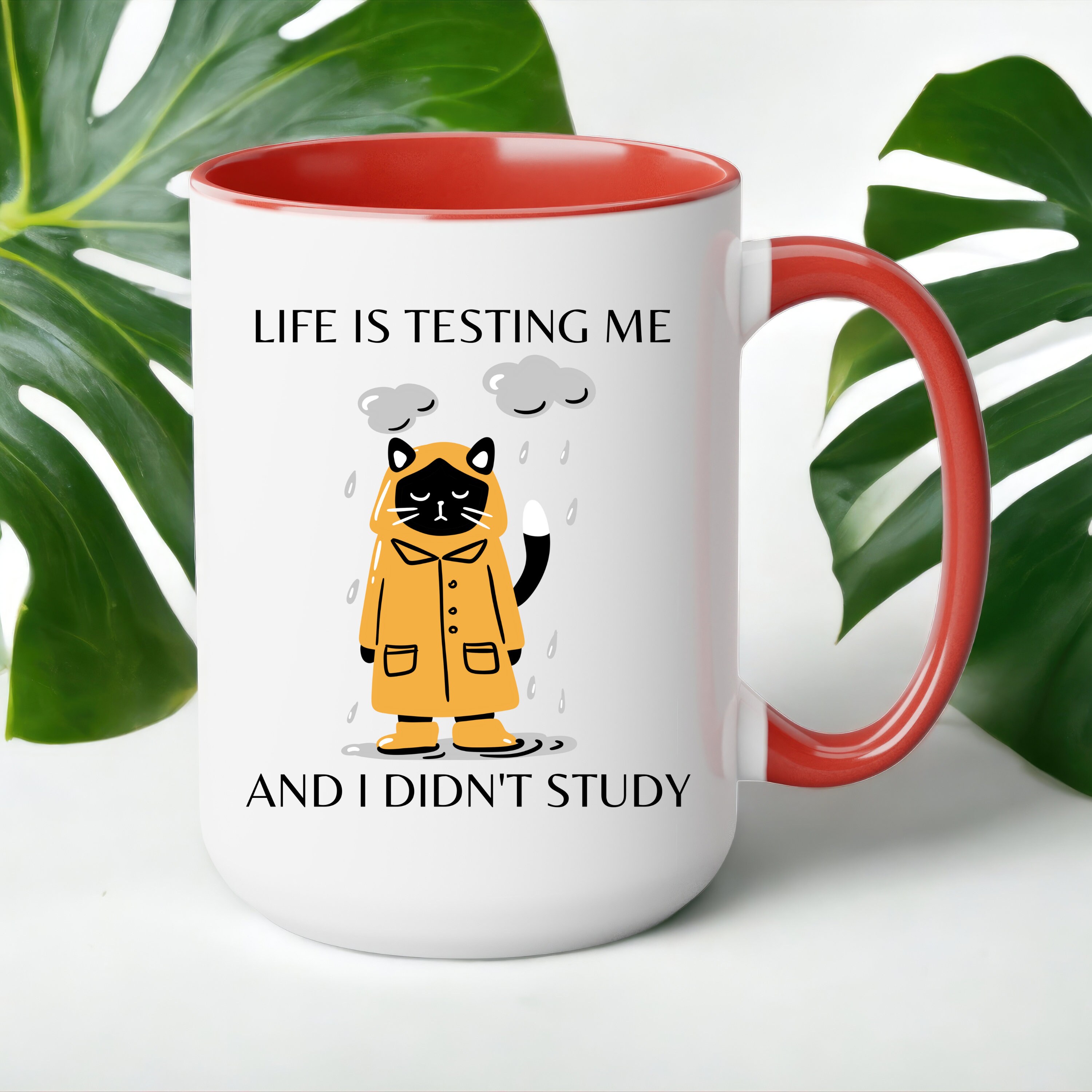 Funny Cat Meme Mug, Unique Gift for Best Friend, Boyfriend Her or Him ...