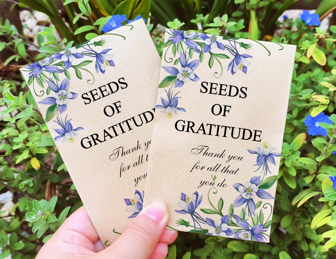 Bulk Business Favors Seed Packets/seeds of Gratitude/thank You Favor ...
