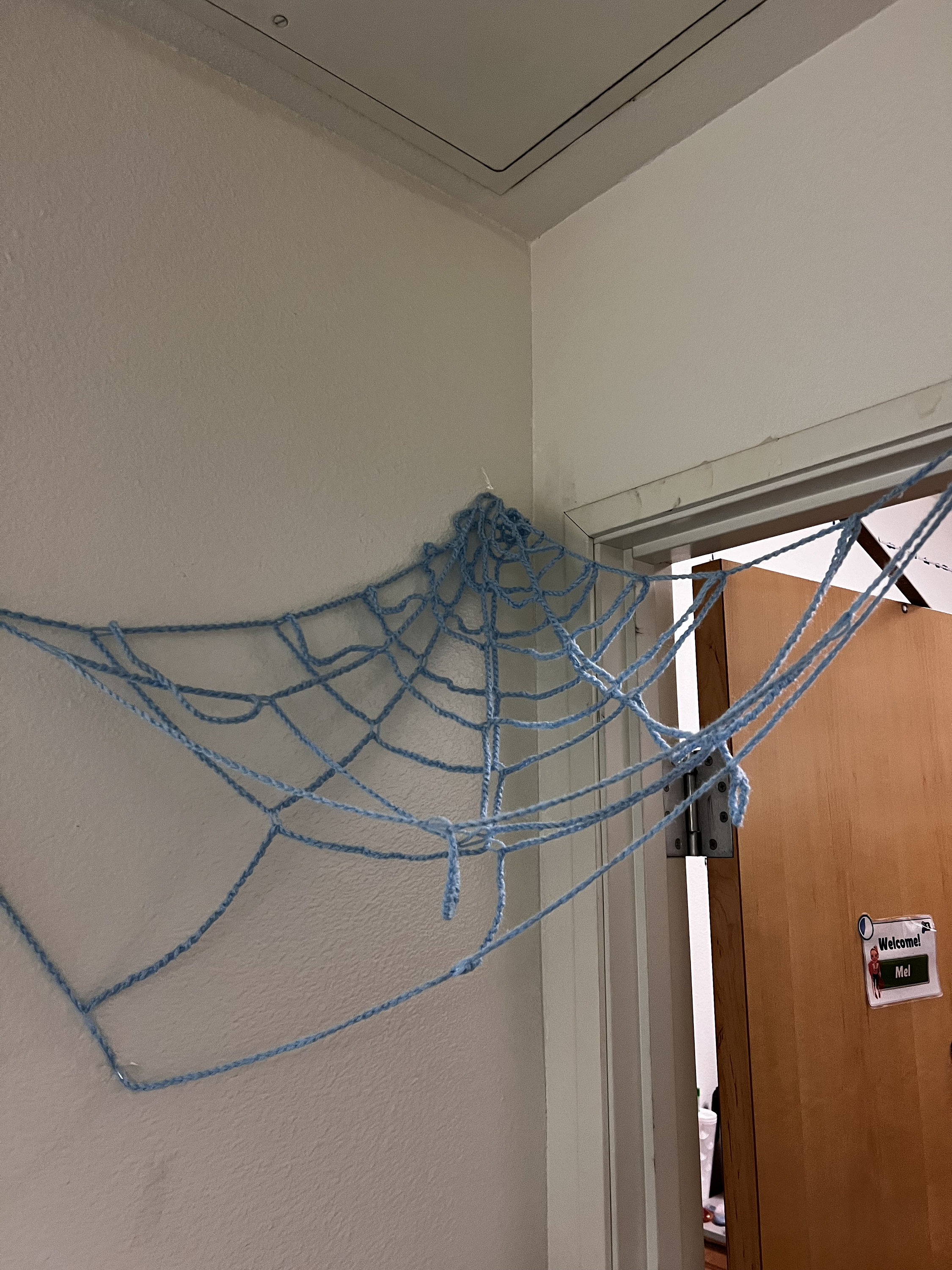 Light Blue Crochet Spider Web Decor - Etsy