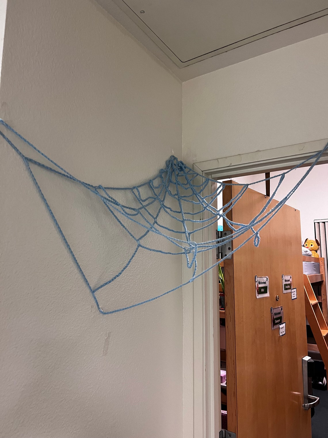 Light Blue Crochet Spider Web Decor - Etsy