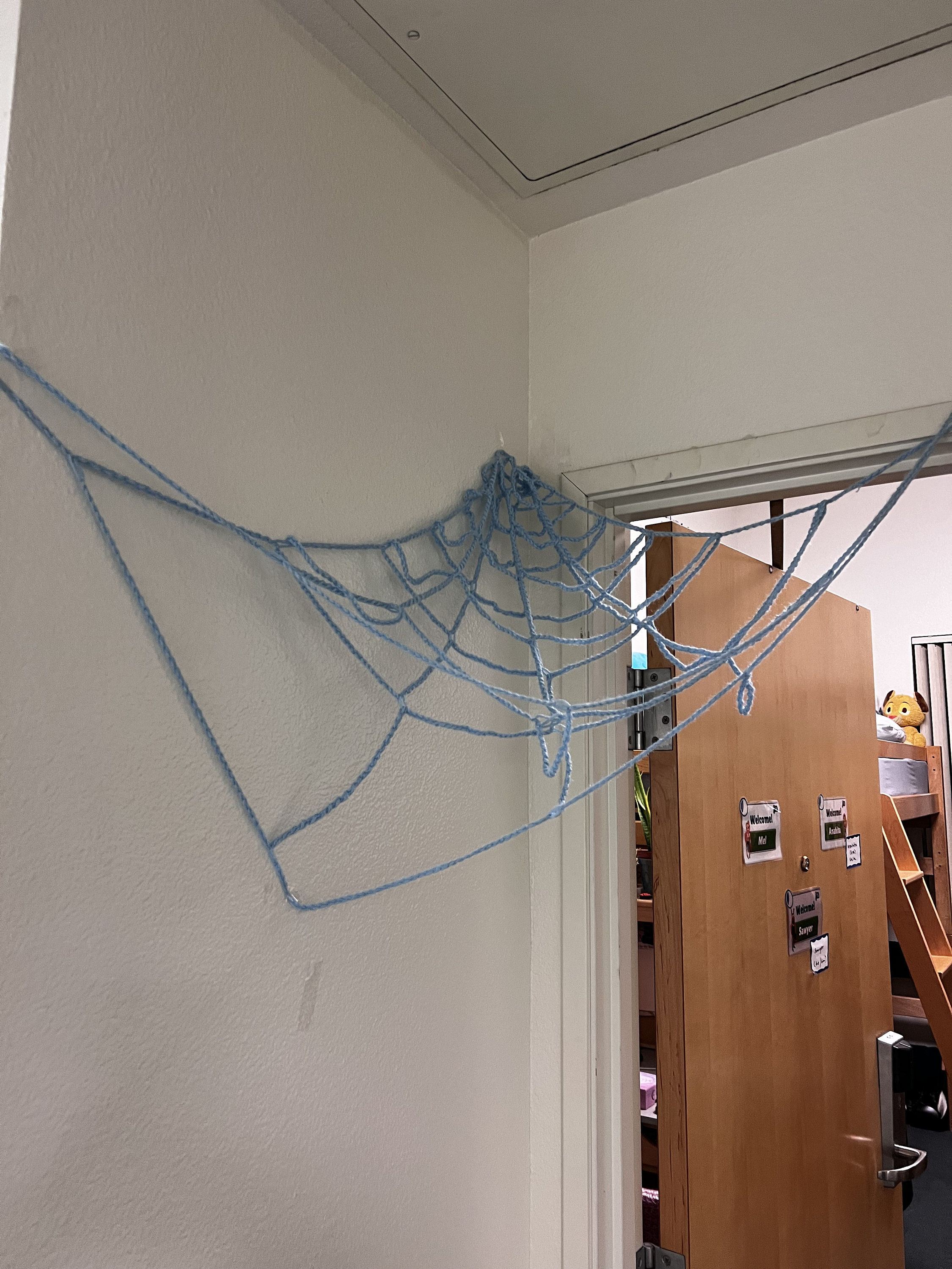 Light Blue Crochet Spider Web Decor - Etsy