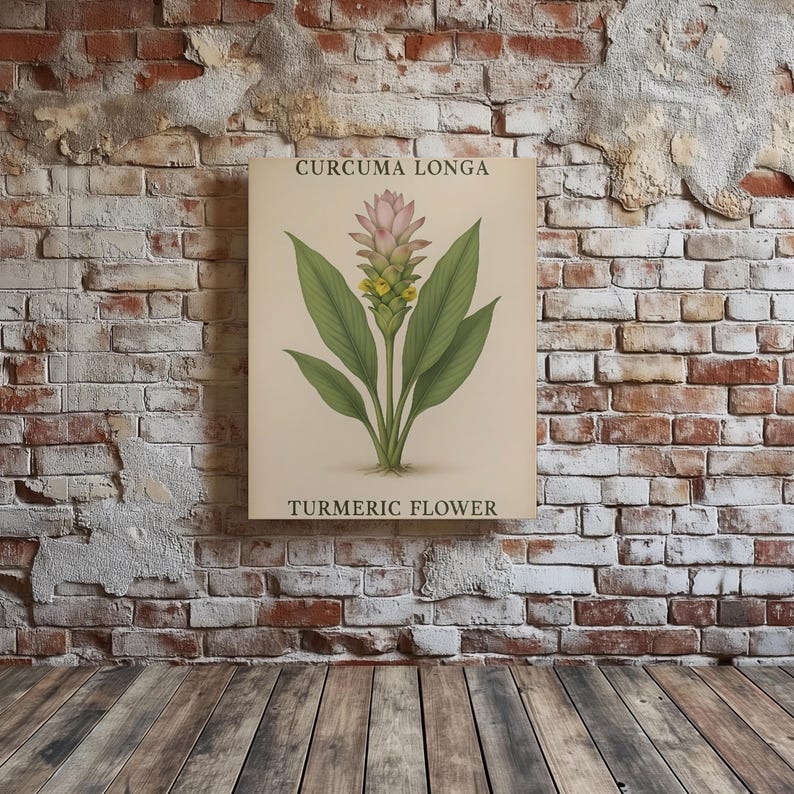 Turmeric Flower Botanical Print Digital Download - Curcuma Longa ...