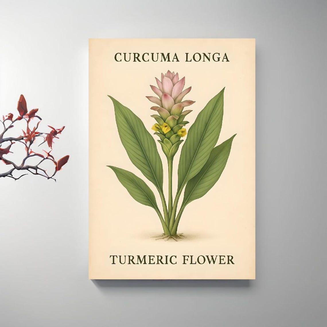Turmeric Flower Botanical Print Digital Download - Curcuma Longa ...