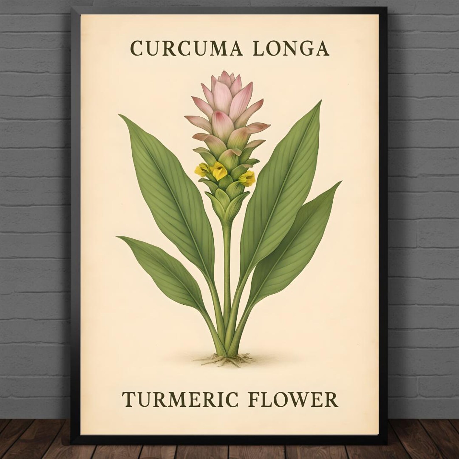 Turmeric Flower Botanical Print Digital Download - Curcuma Longa ...