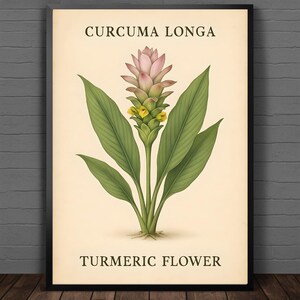 Turmeric Flower Botanical Print Digital Download - Curcuma Longa ...