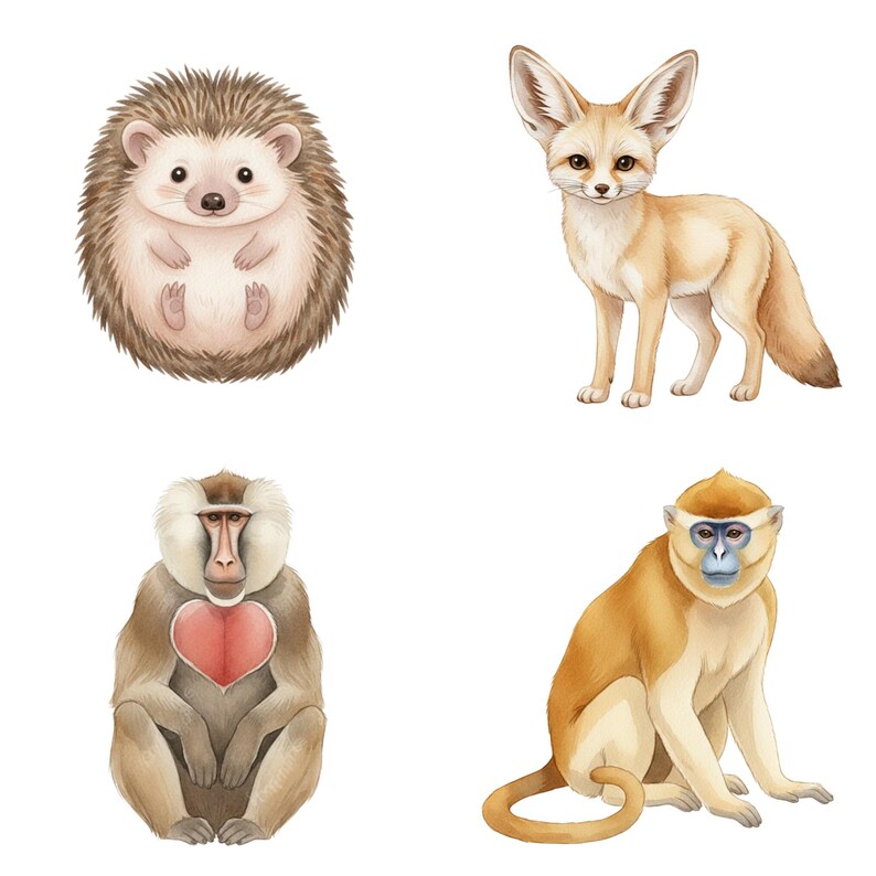 Animals of the World Clipart Pack 3 | Rare & Unusual Animals | Soft ...