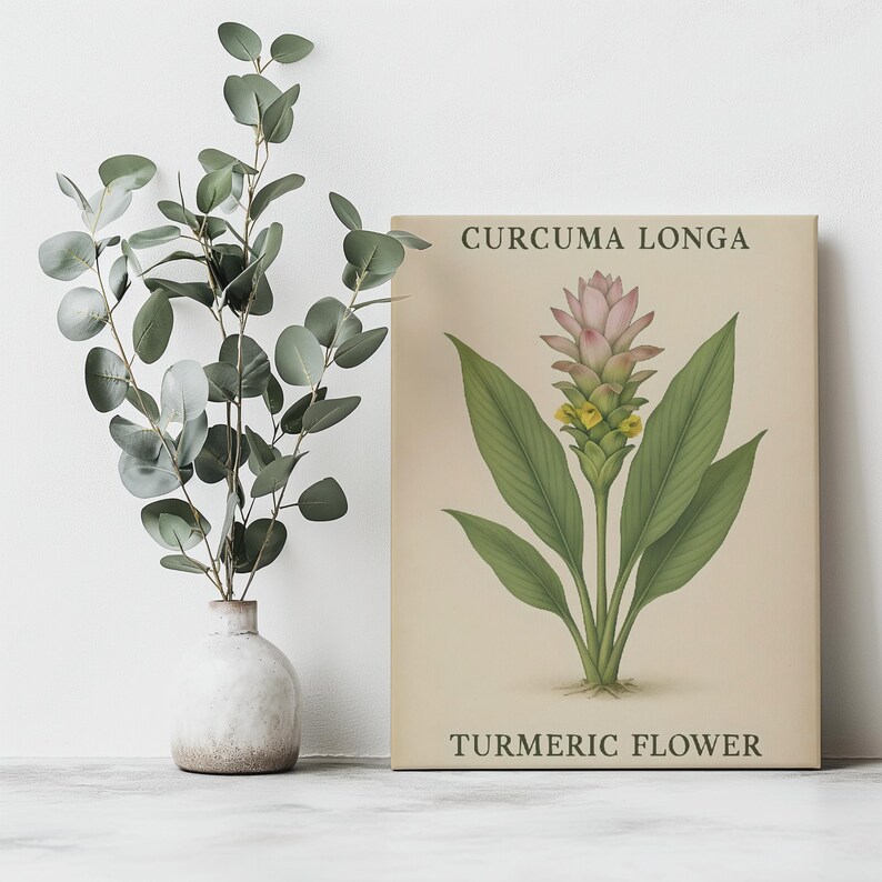 Turmeric Flower Botanical Print Digital Download - Curcuma Longa ...