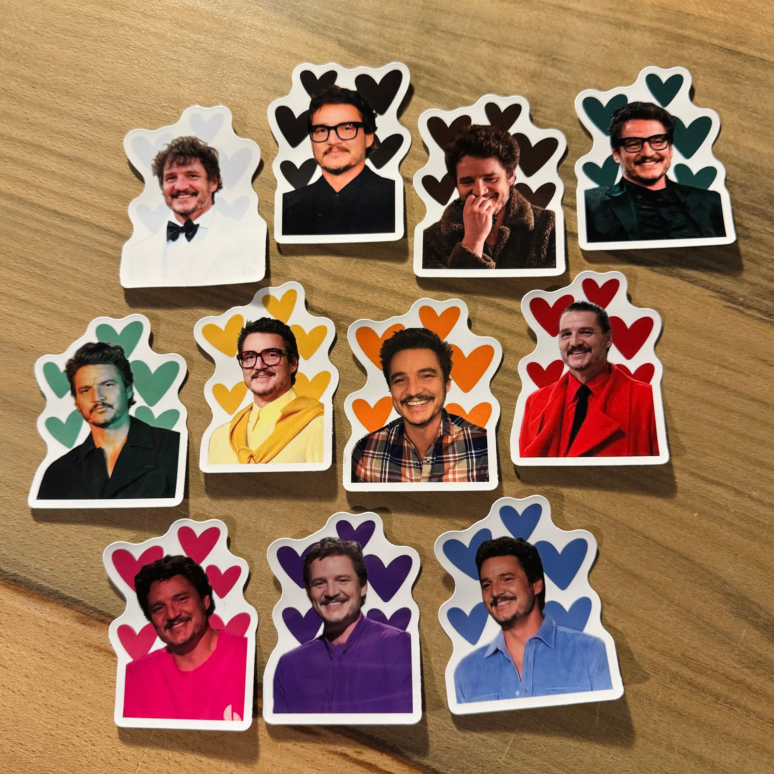 Pedro Pascal-sticker the Rainbow Collection Individuele Stickers - Etsy