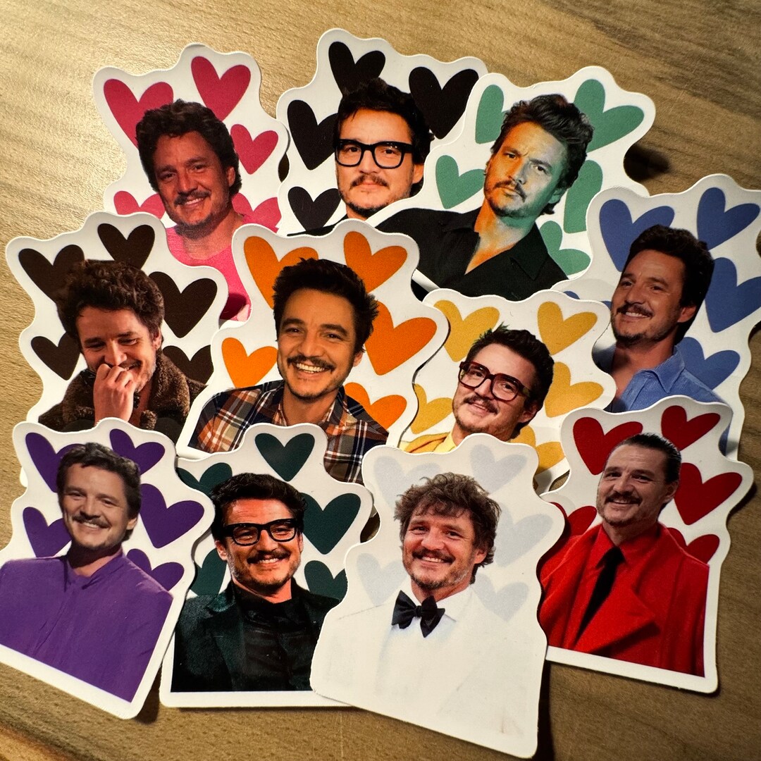 Pedro Pascal-sticker - the Rainbow Collection - Individuele Stickers - Etsy