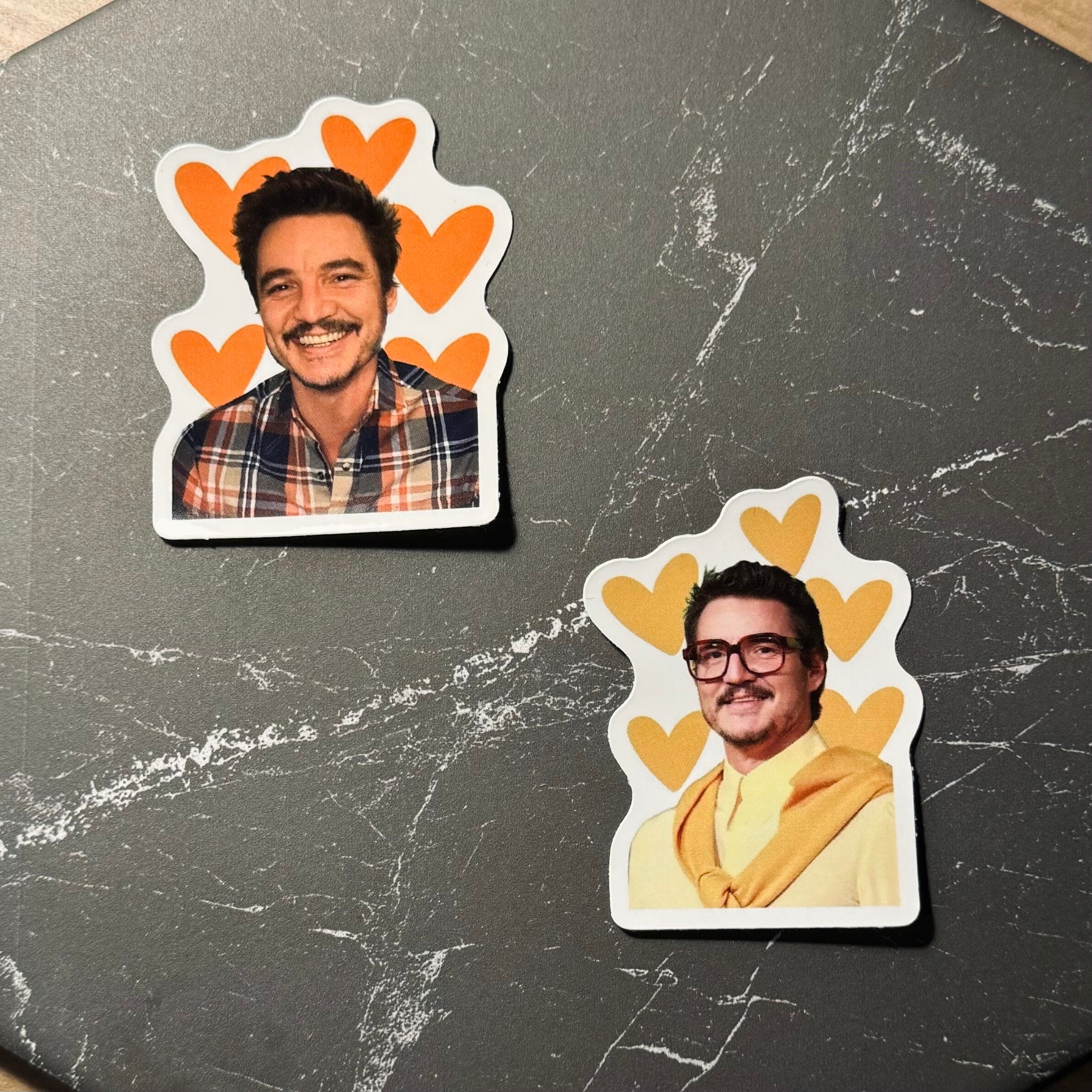 Pedro Pascal-sticker the Rainbow Collection Individuele Stickers - Etsy