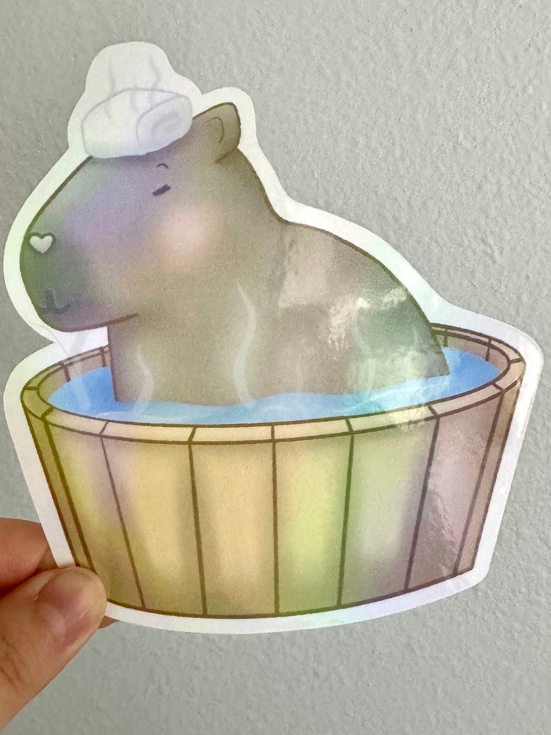Capybara Sticker for Capybara Lover Gift Sticker Capybara Holographic ...