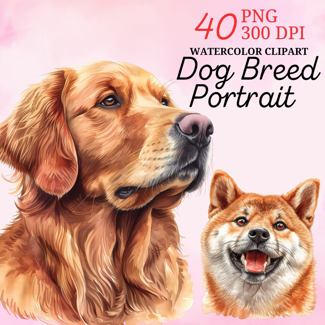 40 Dog Breed Portrait Watercolor Clipart Bundle, PNG Transparent ...