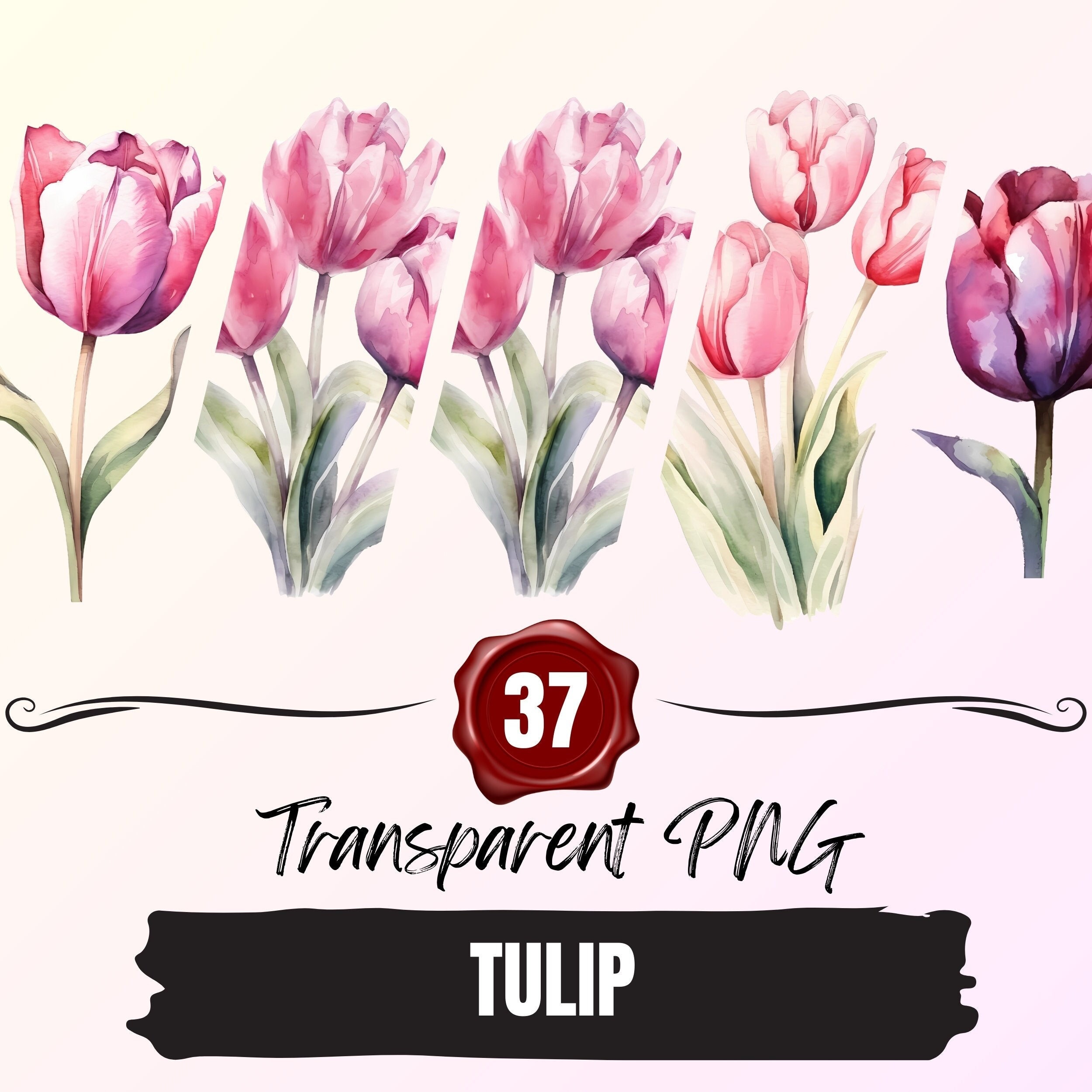 37 Tulip Watercolor Clipart Bundle PNG Transparent, Watercolor-painted ...