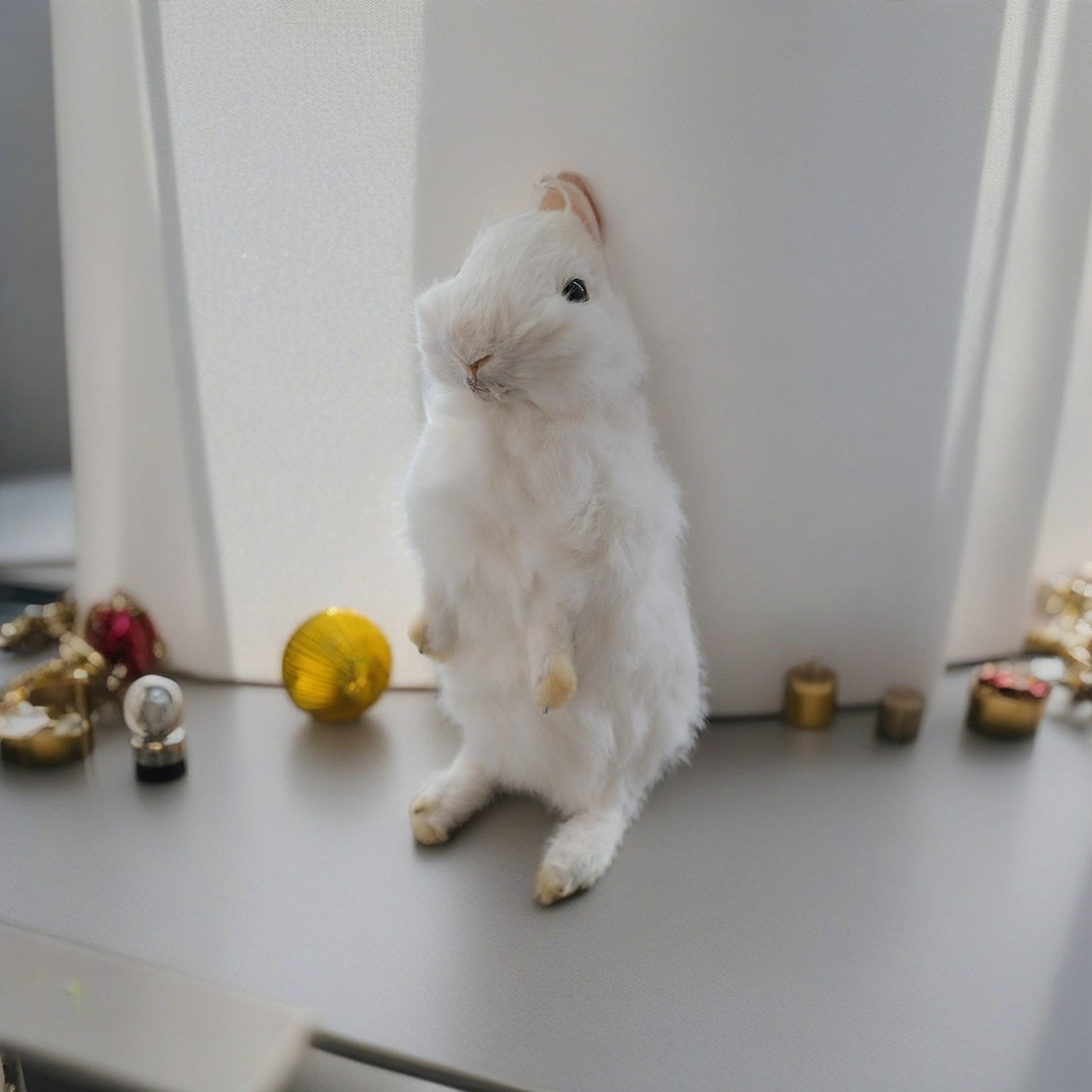 Real Taxidermy White Rabbit, Cute Taxidermy Rabbit, Easter Bunny ...