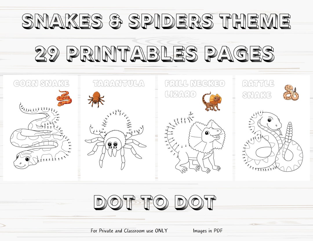 29 Spider & Snake Dot to Dot | Coloring Pages Kids and Toddlers ...