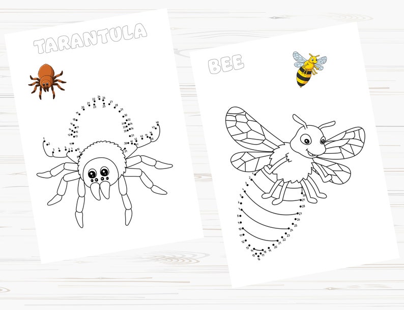 29 Spider & Snake Dot to Dot | Coloring Pages Kids and Toddlers ...