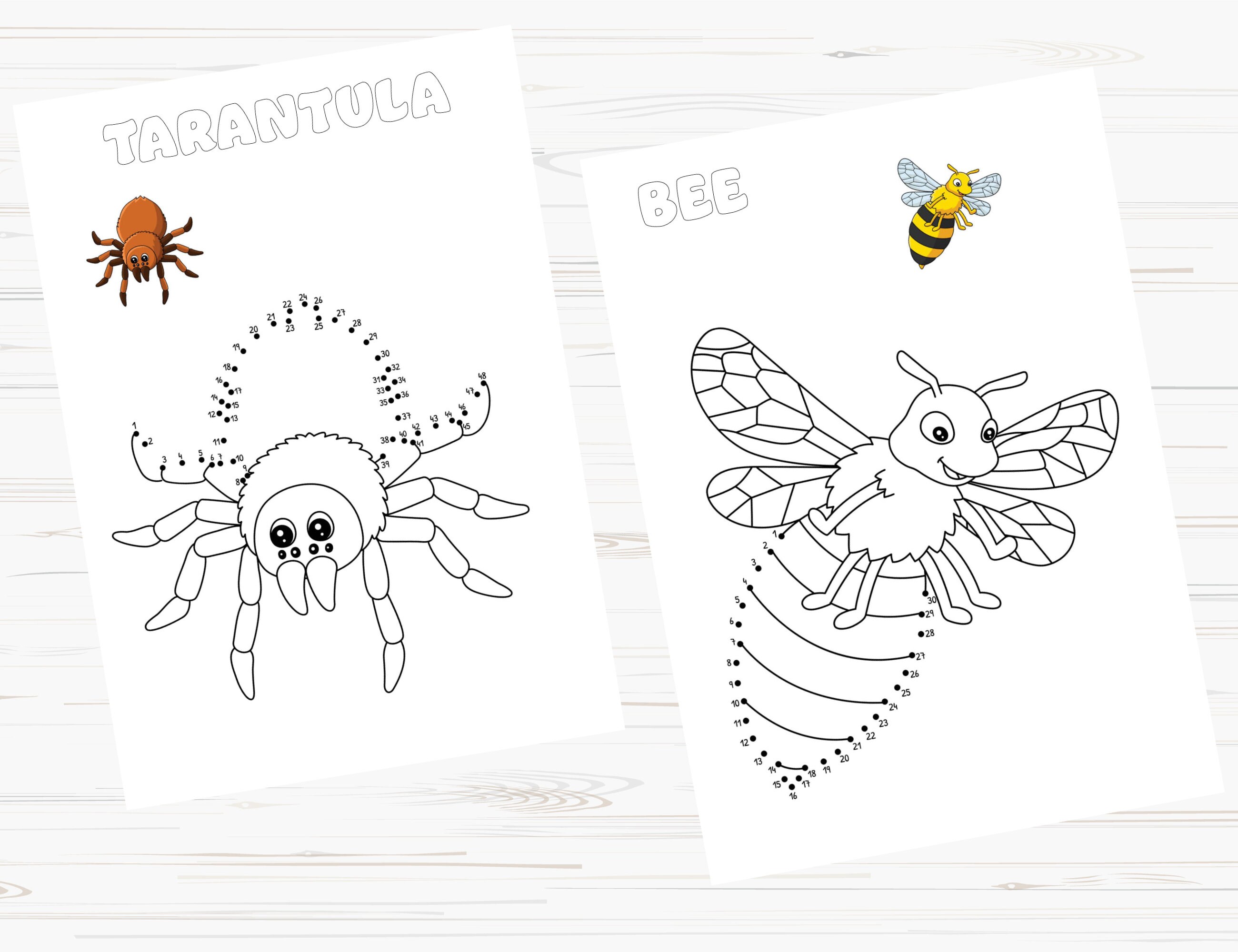 29 Spider & Snake Dot to Dot | Coloring Pages Kids and Toddlers ...