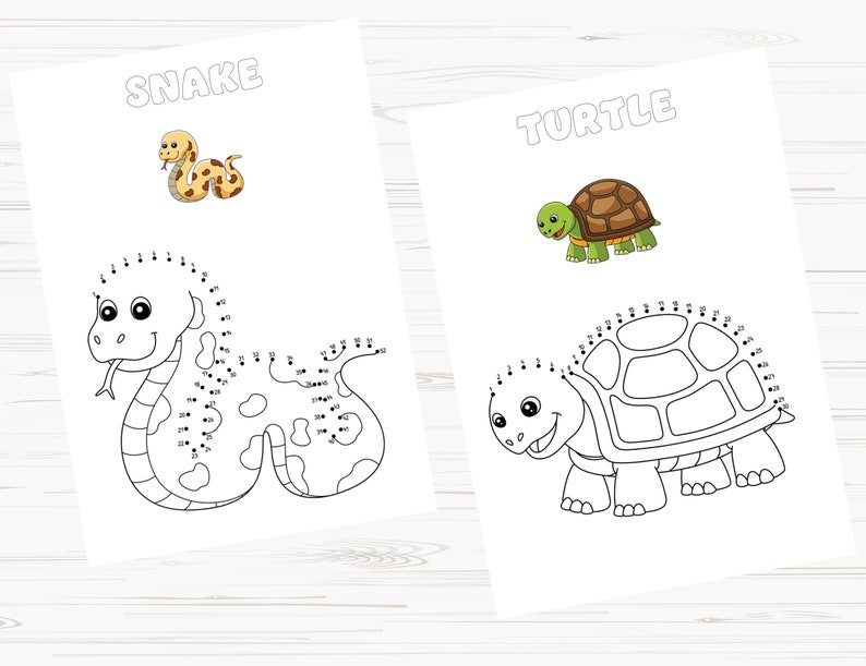29 Spider & Snake Dot to Dot | Coloring Pages Kids and Toddlers ...