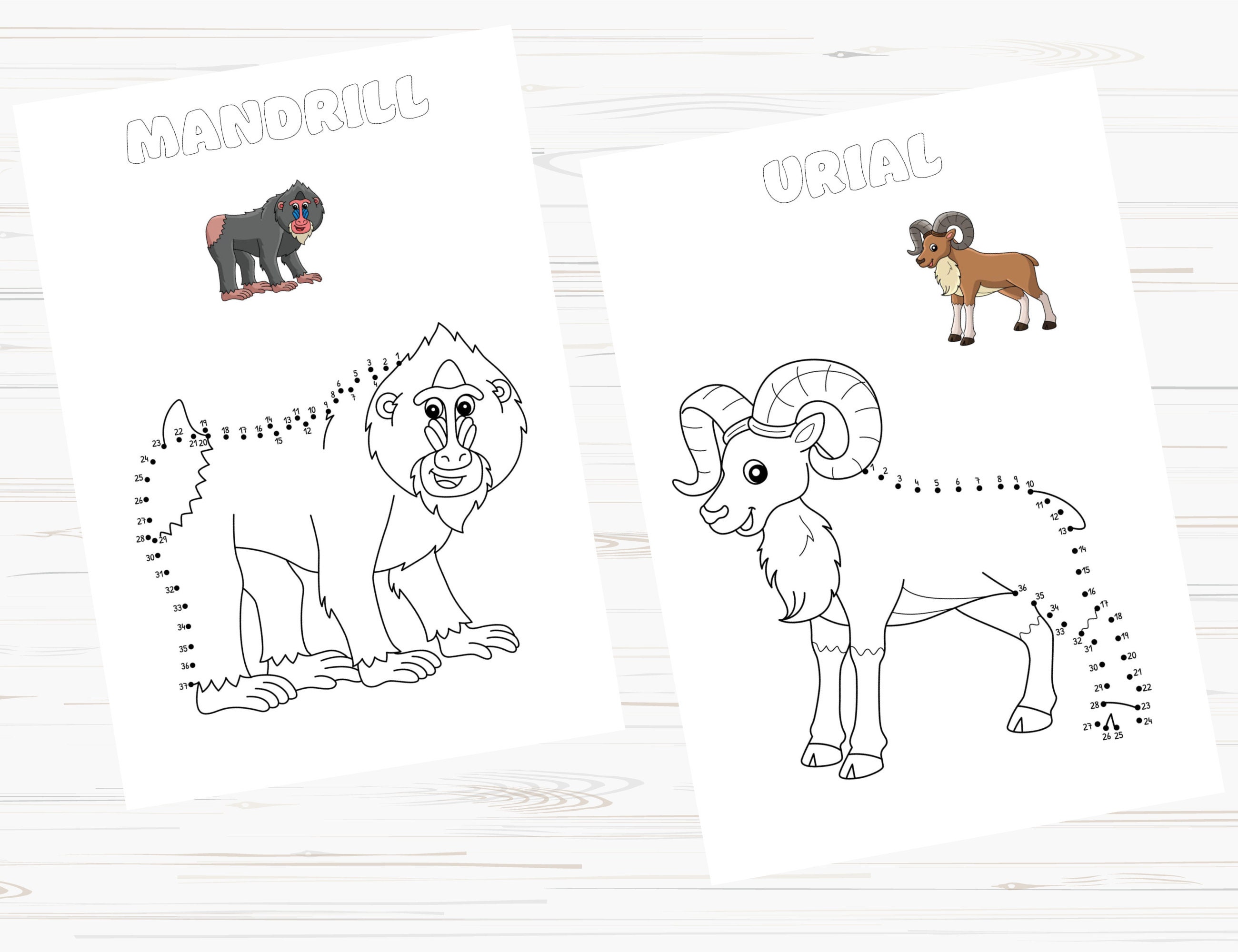 40 Animals Dot to Dot Coloring Pages Kids and Toddlers Connect the Dots ...