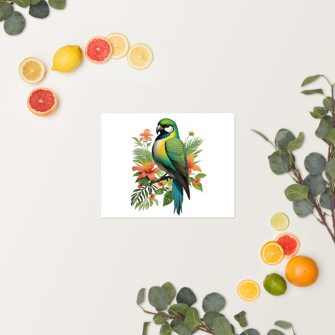 Watercolor Birds Clipart Poster - Etsy
