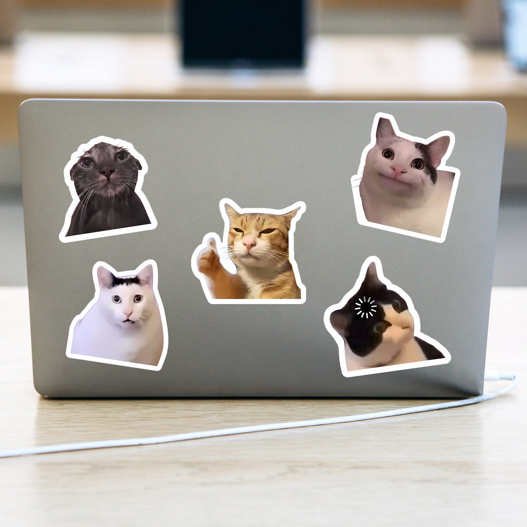 Printable Cat Funny Meme Kiss-cut Stickers From Instagram Twitter and ...