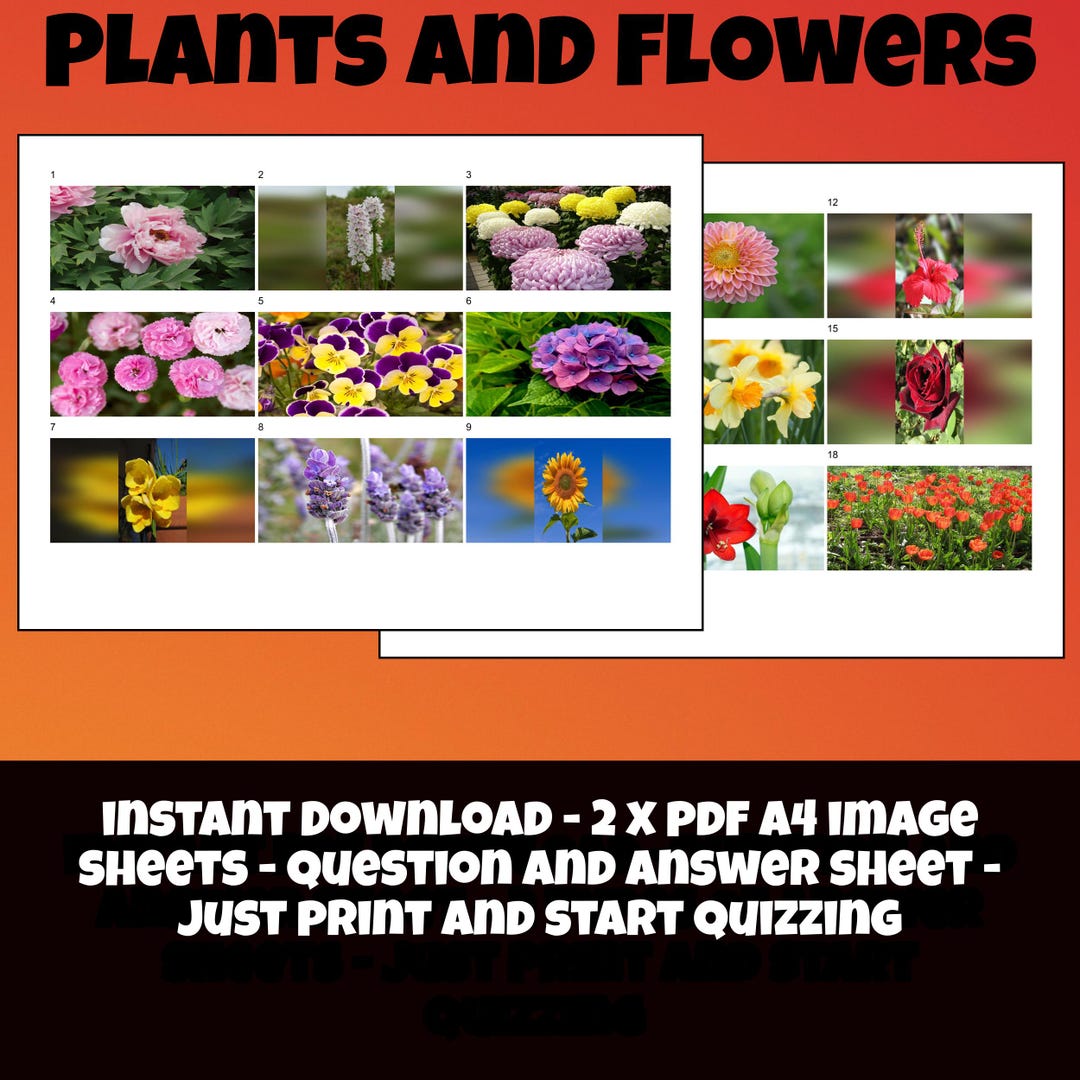 Picture Quiz | Plants and Flowers | Pub Quiz Picture Round | Quiz ...