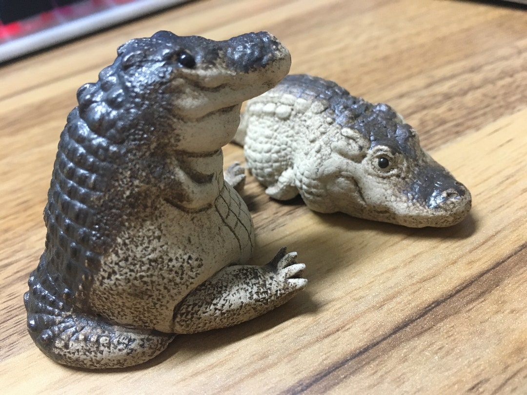 Crocodile Tea Pet - Etsy